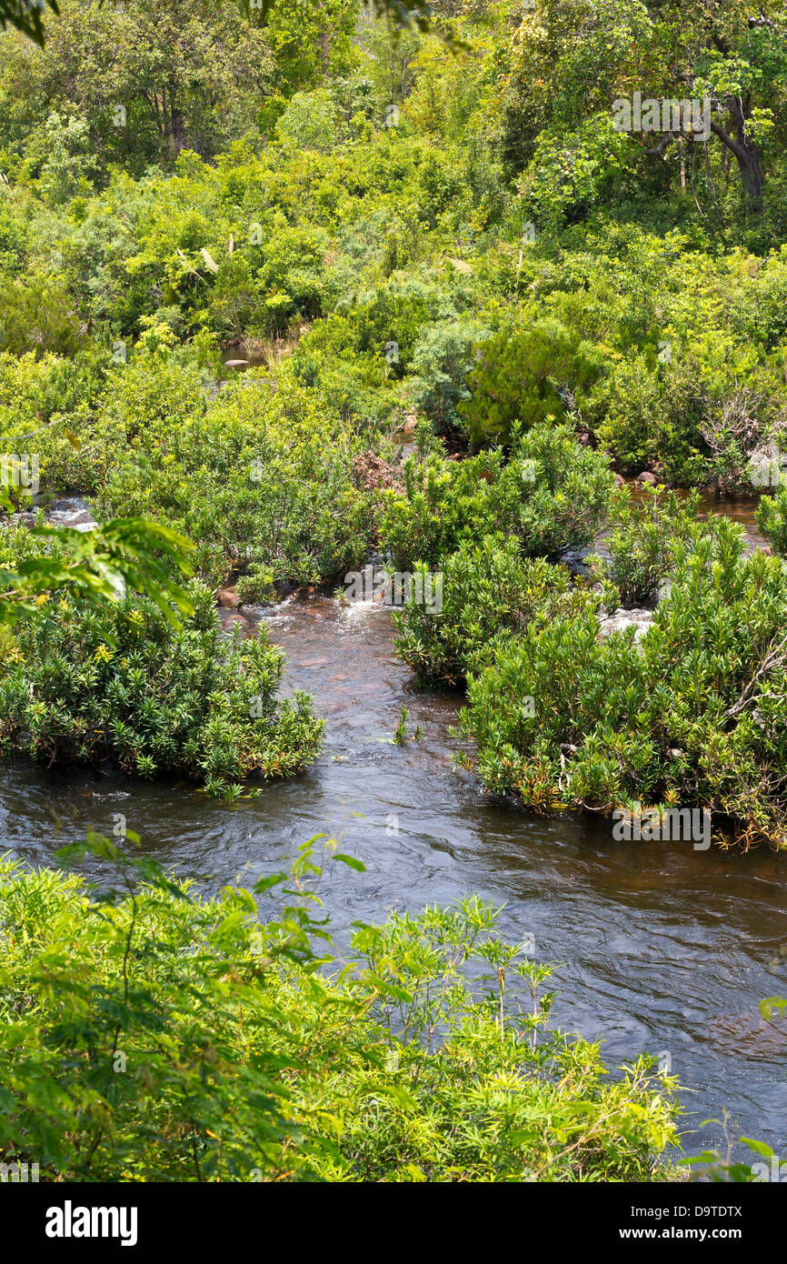 The Teuk Chhou Rapids in the Province of Kampot, Cambodia Stock Photo ...