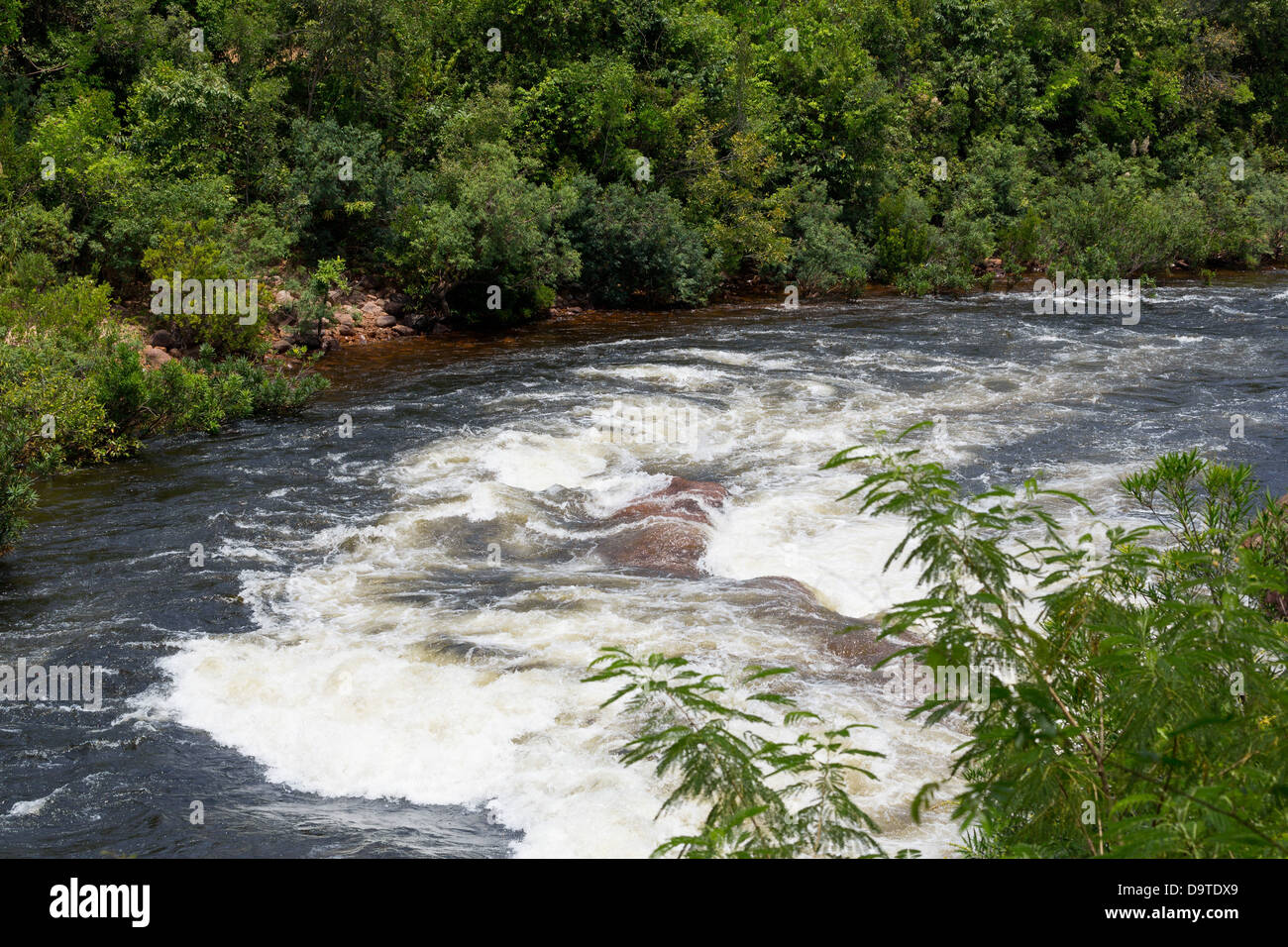 The Teuk Chhou Rapids in the Province of Kampot, Cambodia Stock Photo ...