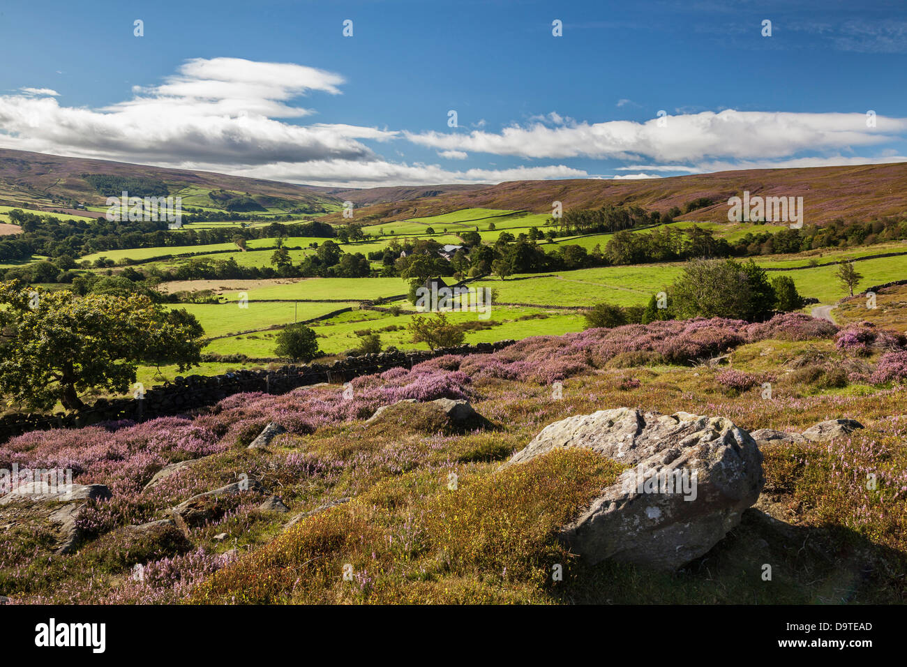 Westerdale, North York Moors National Park, North Yorkshire Stock Photo ...