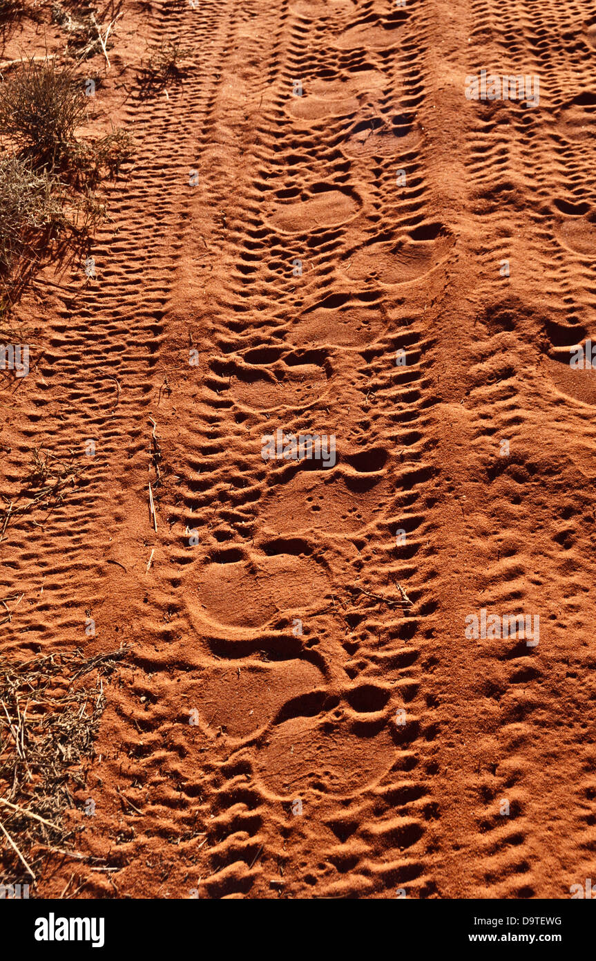 Camel route hi-res stock photography and images - Alamy