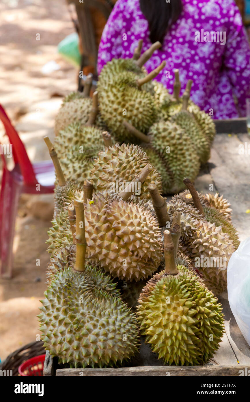 Durian Fruits in the Kampot Province of Cambodia Stock Photo - Alamy