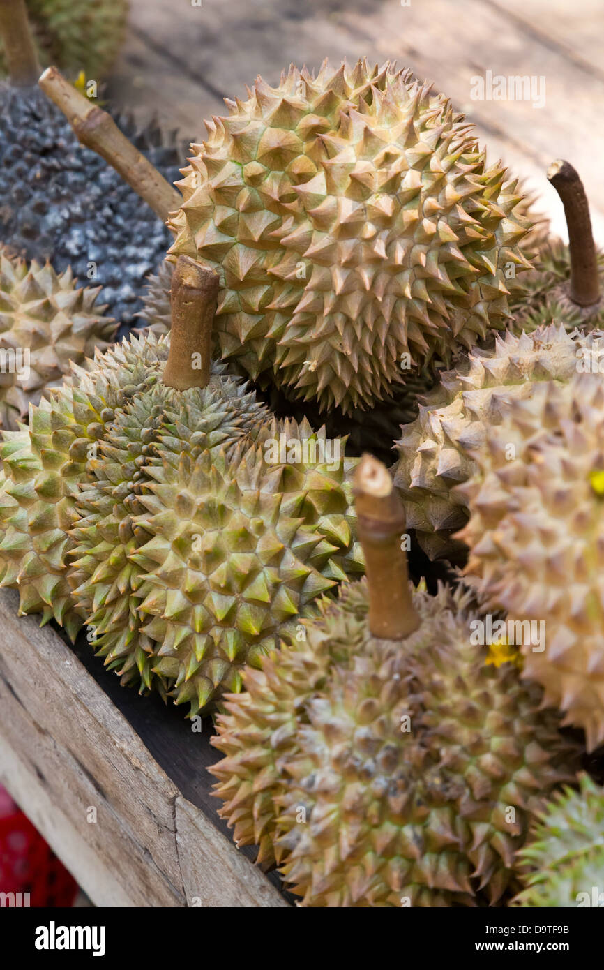 Durian Fruits in the Kampot Province of Cambodia Stock Photo - Alamy