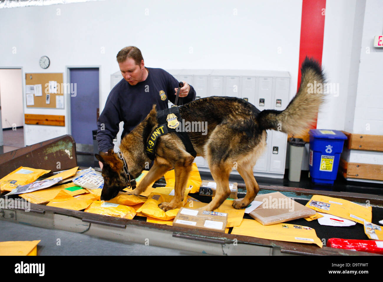 A U.S. Customs and Border Protection K9 officer inspects the mail at a ...
