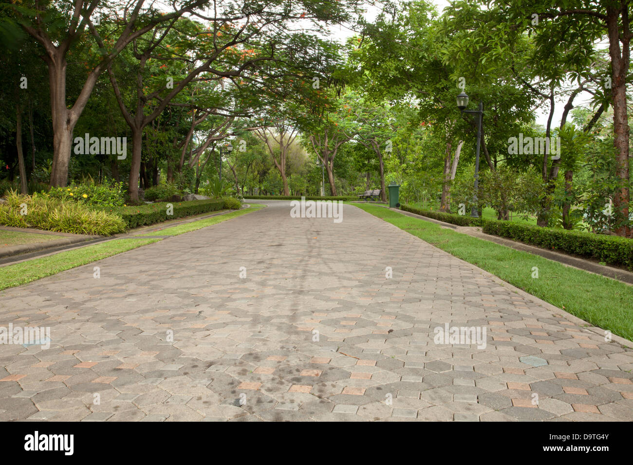 Landscaped woodland hi-res stock photography and images - Alamy