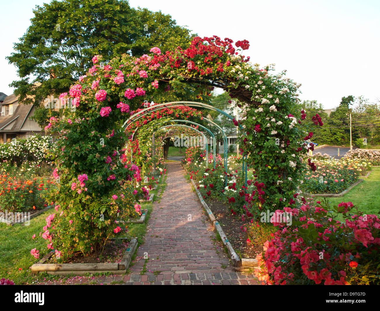 formal rose garden with arching trellises Stock Photo - Alamy