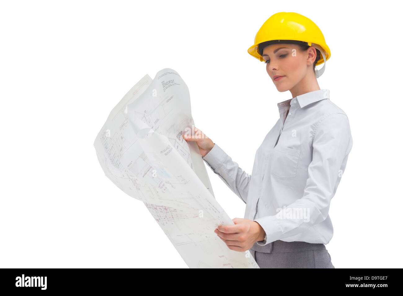 Architect studying plan with yellow helmet Stock Photo - Alamy