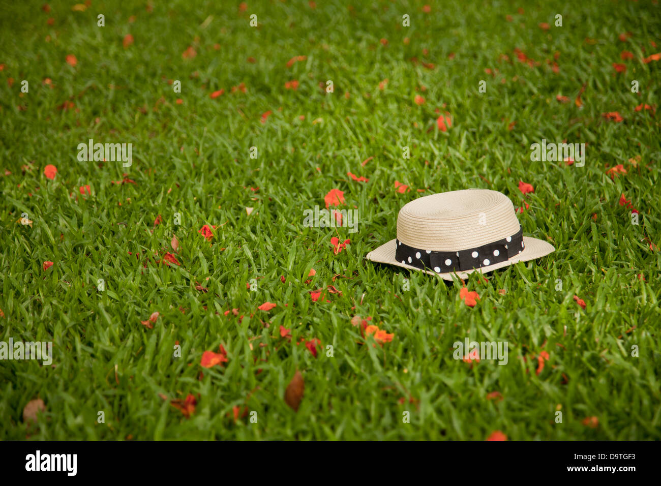 summer hat on grass field Stock Photo - Alamy