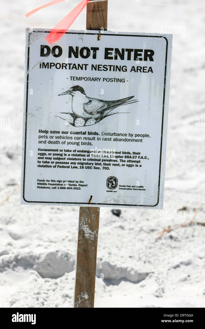 The nesting area hi-res stock photography and images - Alamy