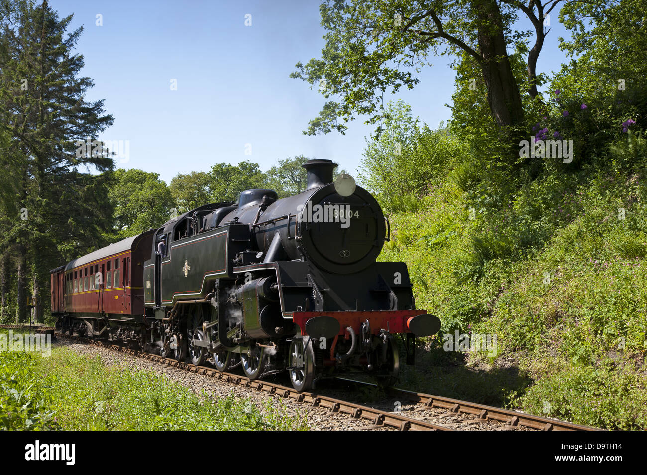 Bodmin & Wenford Steam Railway Stock Photo - Alamy