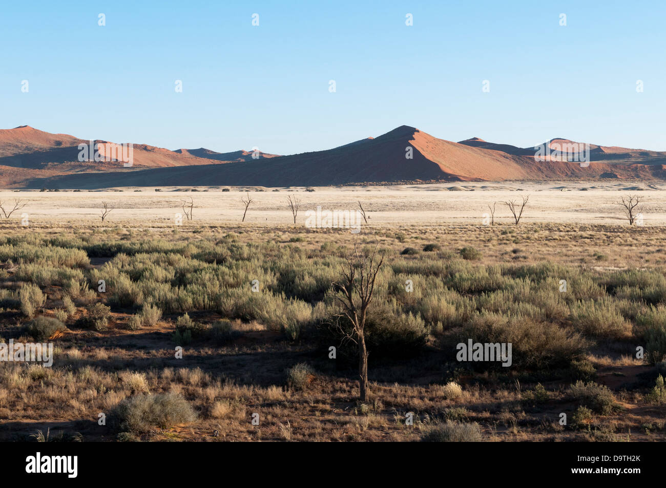 Namibia, Namib Desert, Namib Naukluft Park, Aerial view of desert Stock ...