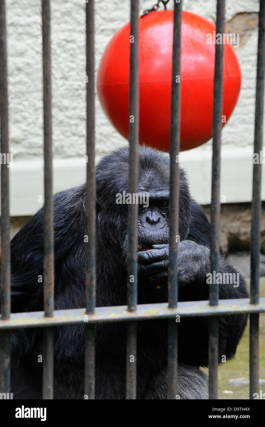 Faben High Resolution Stock Photography and Images - Alamy