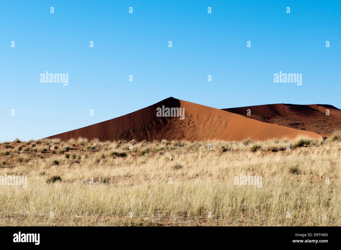 Sand desert plain hi-res stock photography and images - Alamy