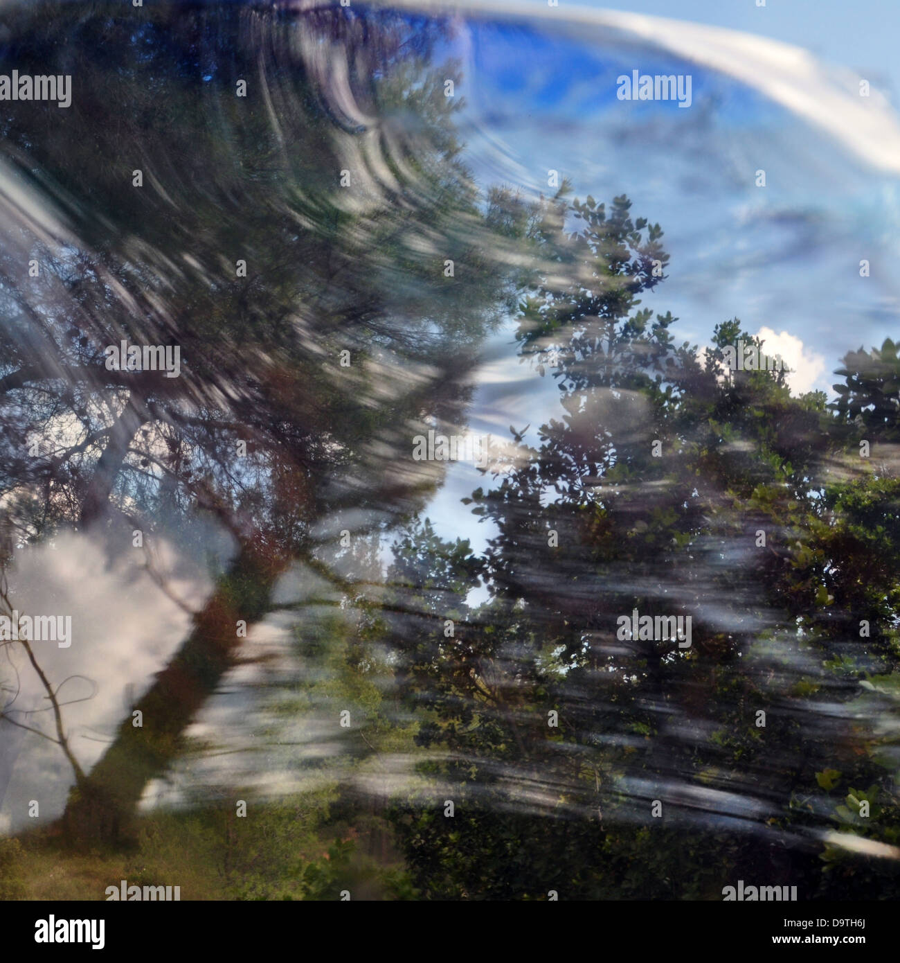 Forest landscape through painted glass. Distorted trees reflection ...