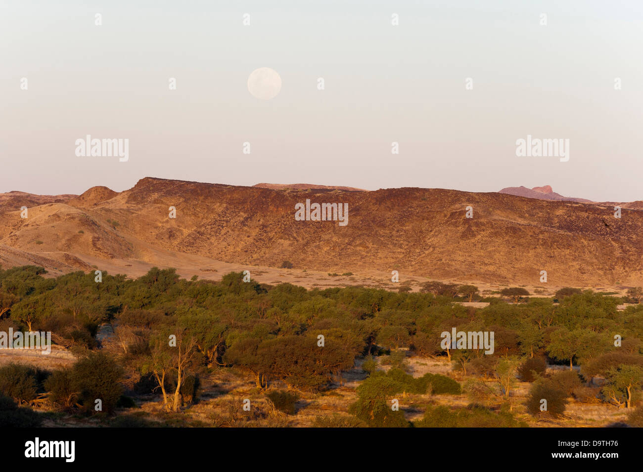 Namibia, Damaraland, Torra Conservancy, Huab river Valley at sunset ...