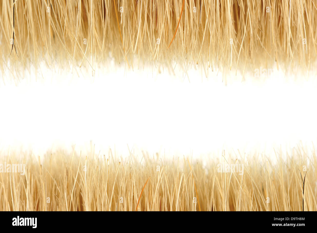 Brush frame hi-res stock photography and images - Alamy