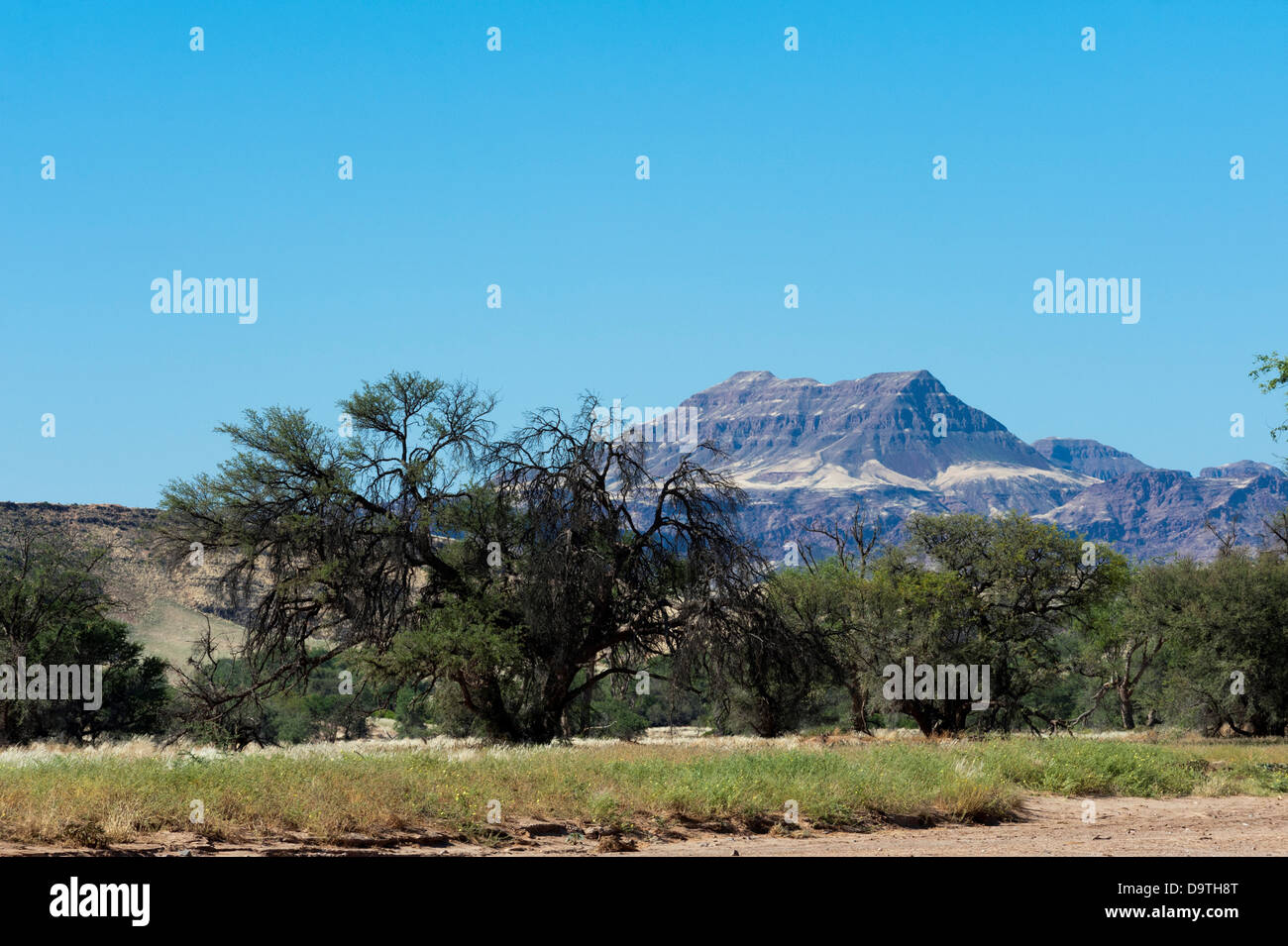 Namibia, Damaraland, Torra Conservancy, Huab River Valley, Landscape ...