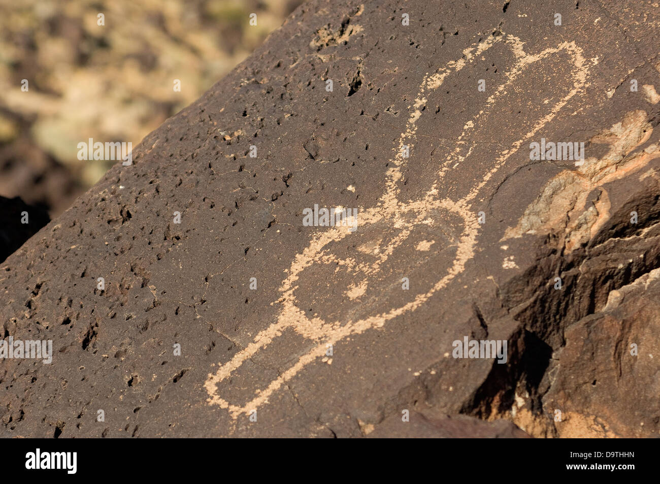 Native American petroglyph on basalt, Petroglyph State Park, New Mexico ...