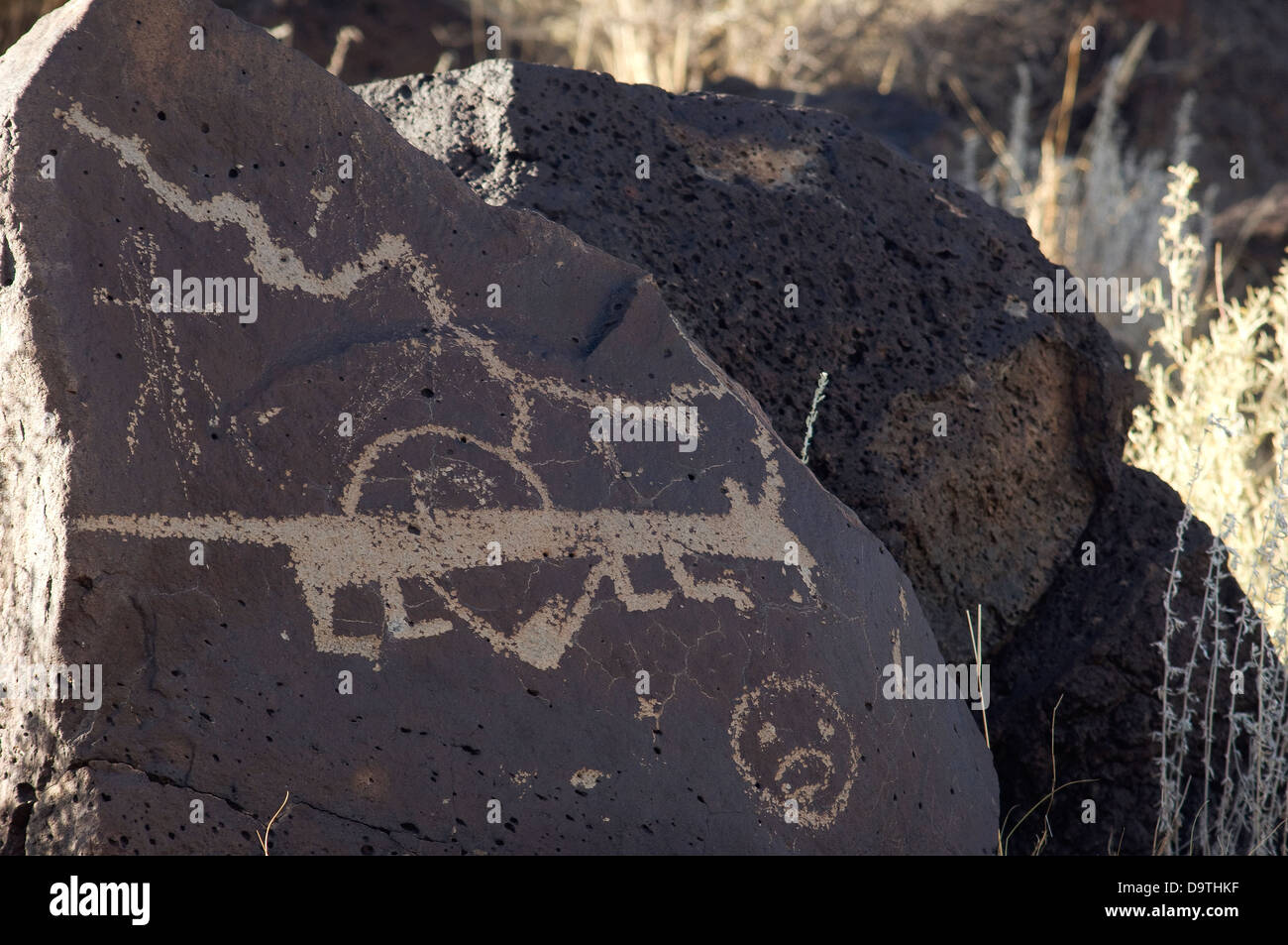 Animal and snake petroglyphs on basalt, Petroglyph State Park, New ...