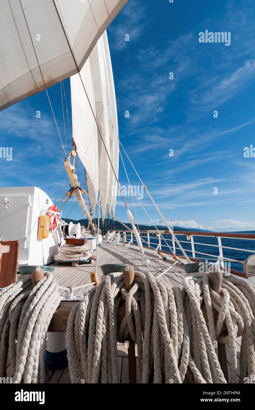 French Caribbean, France, Guadeloupe, Basse-Terre, Deshaies, Star ...