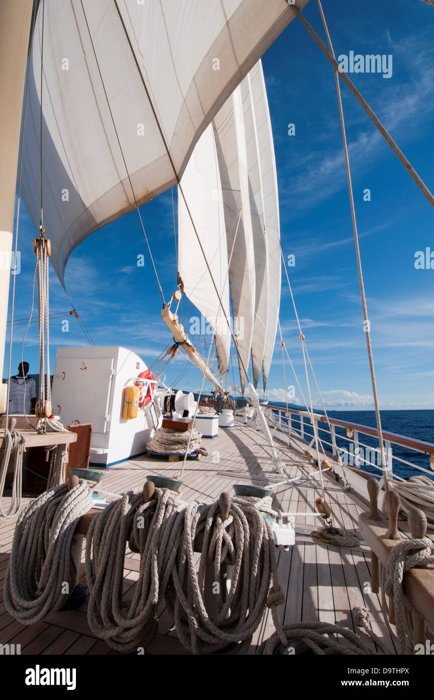 French Caribbean, France, Guadeloupe, Basse-Terre, Deshaies, Star ...