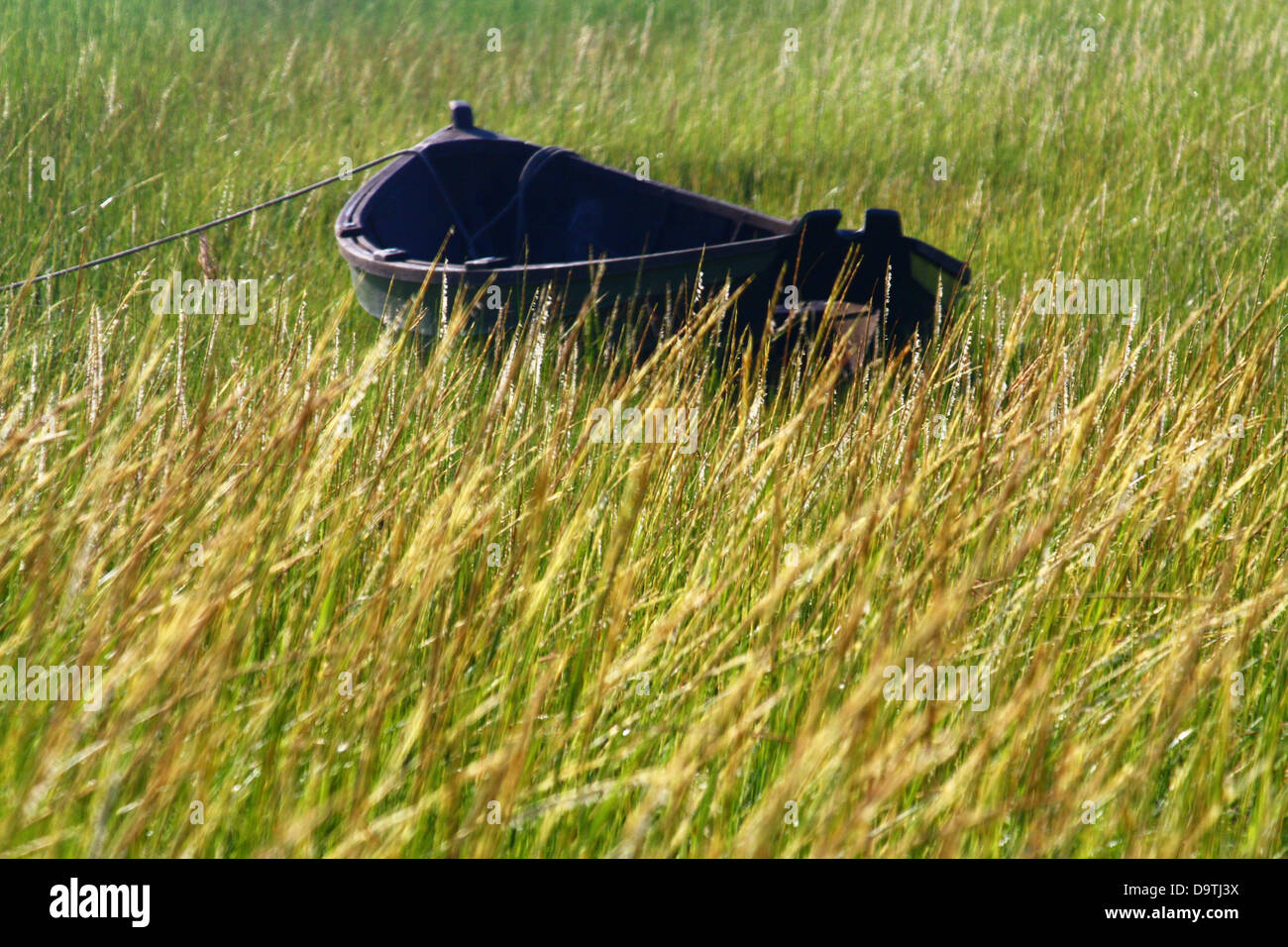 Brown Boat & Reeds Stock Photo - Alamy