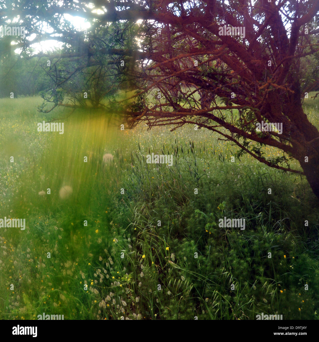 Obscured glass hi-res stock photography and images - Alamy