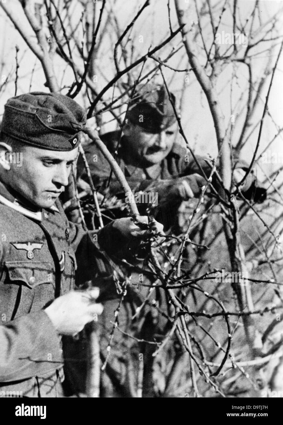 The Nazi Propaganda! on the back of the image reads: "Friendly play ...