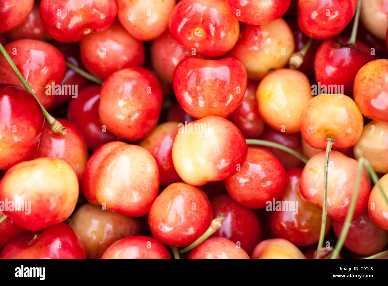 Seamless texture of sweet cherries Stock Photo - Alamy