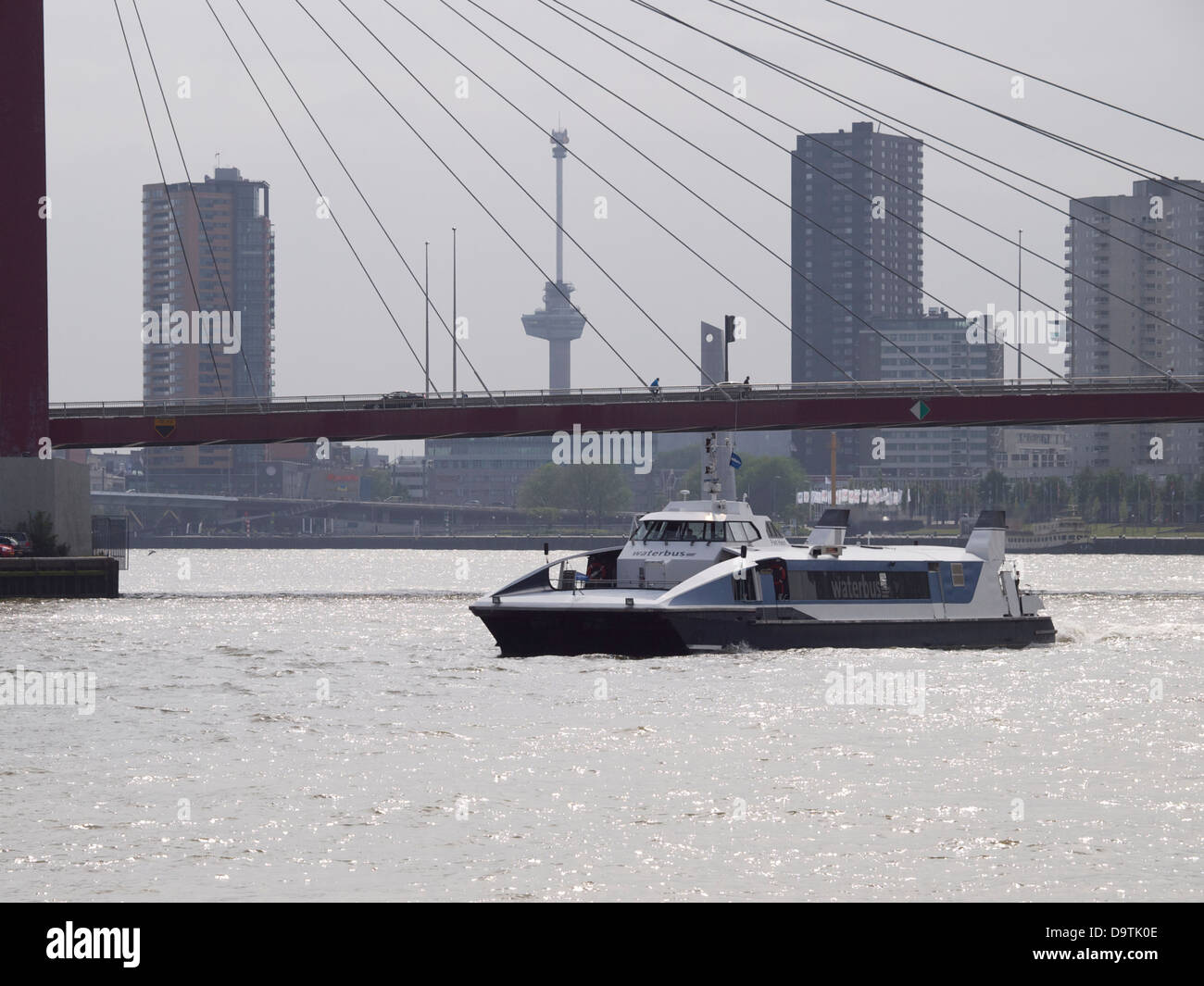 Waterbus rotterdam hi-res stock photography and images - Alamy
