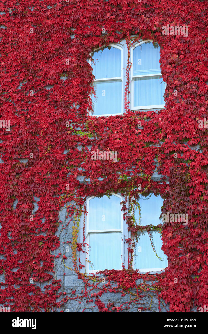 Ireland, Munster, County Clare, Quinn, Windows in Dromoland Castle ...