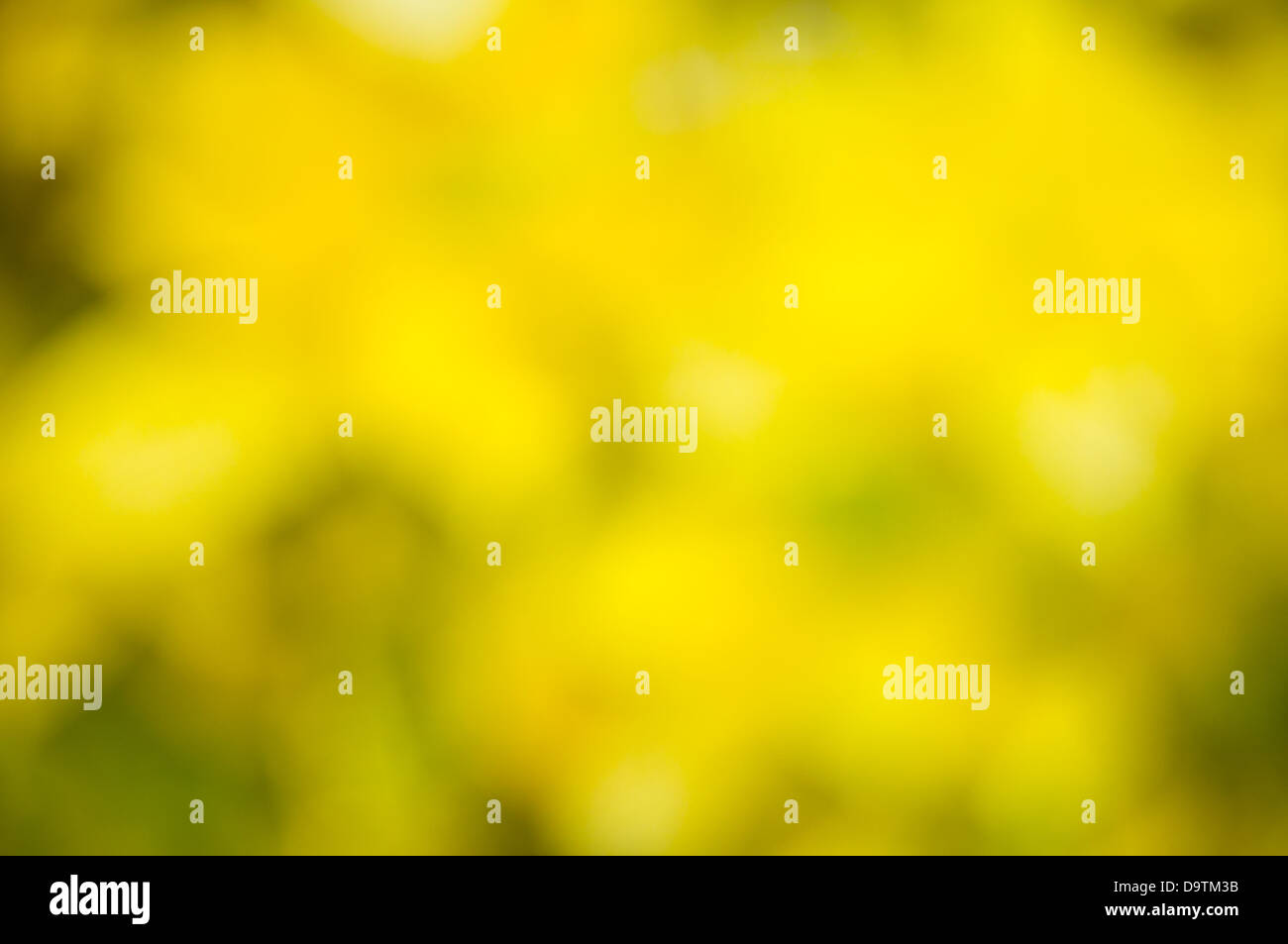 Yellow light hi-res stock photography and images - Alamy