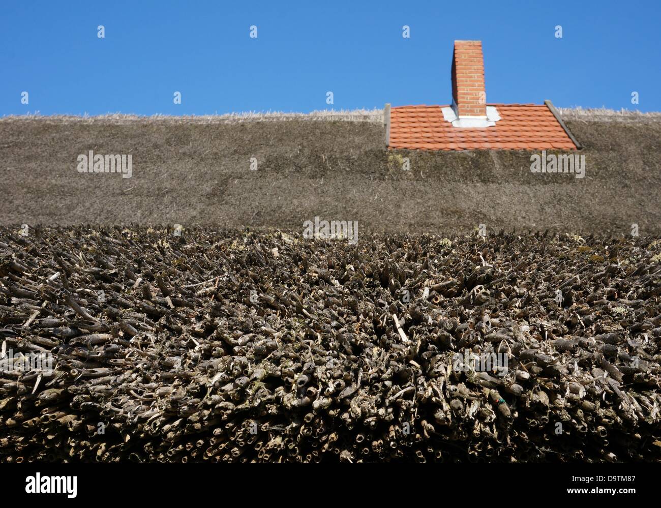 A house covered with reed is pictured near Ludwigslust, Germany, 10 ...