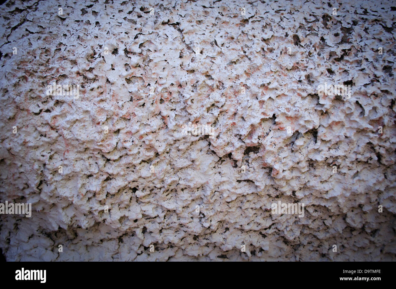Rough Plaster Wall Texture Stock Photo - Alamy