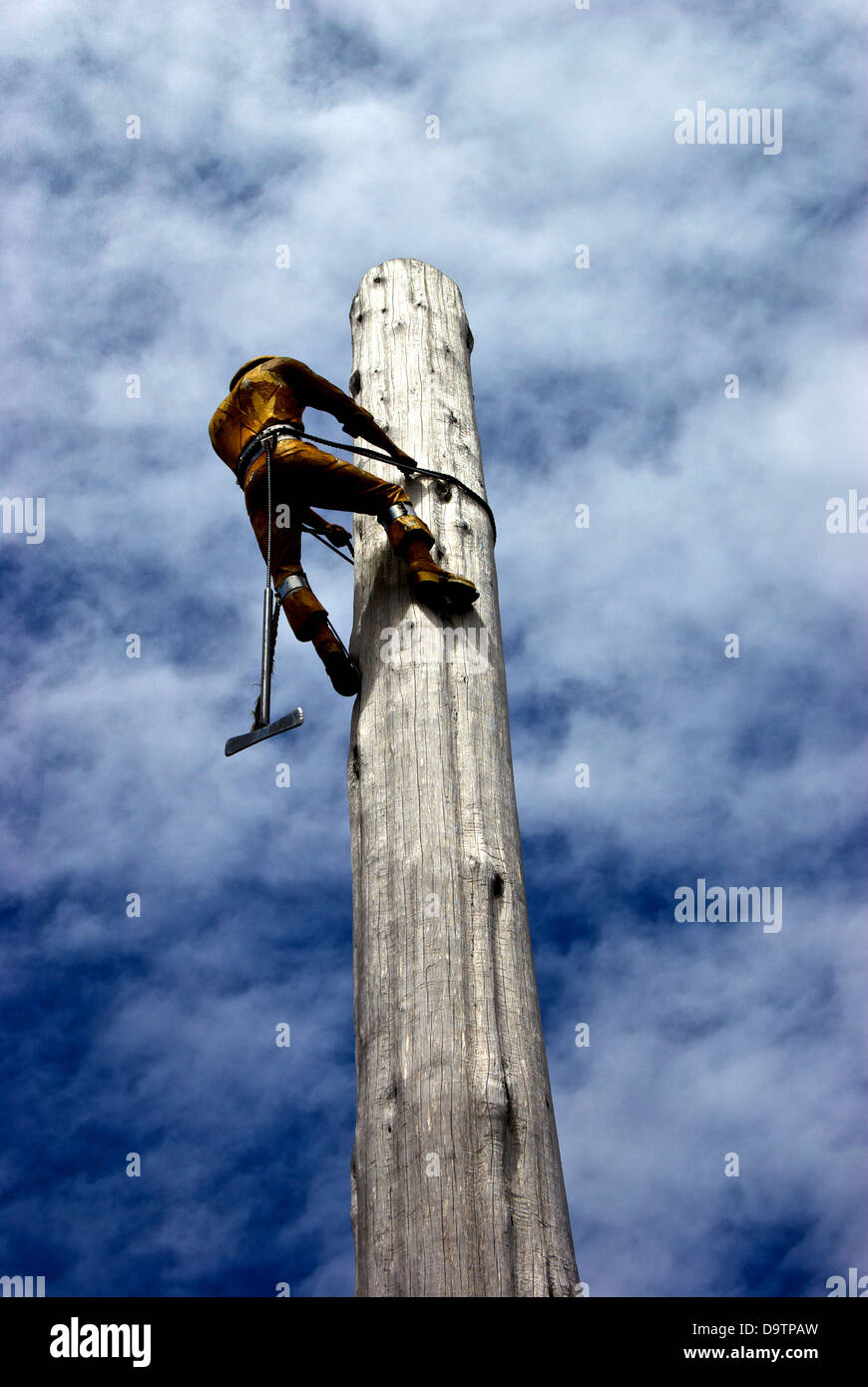 High rigger tree hi-res stock photography and images - Alamy