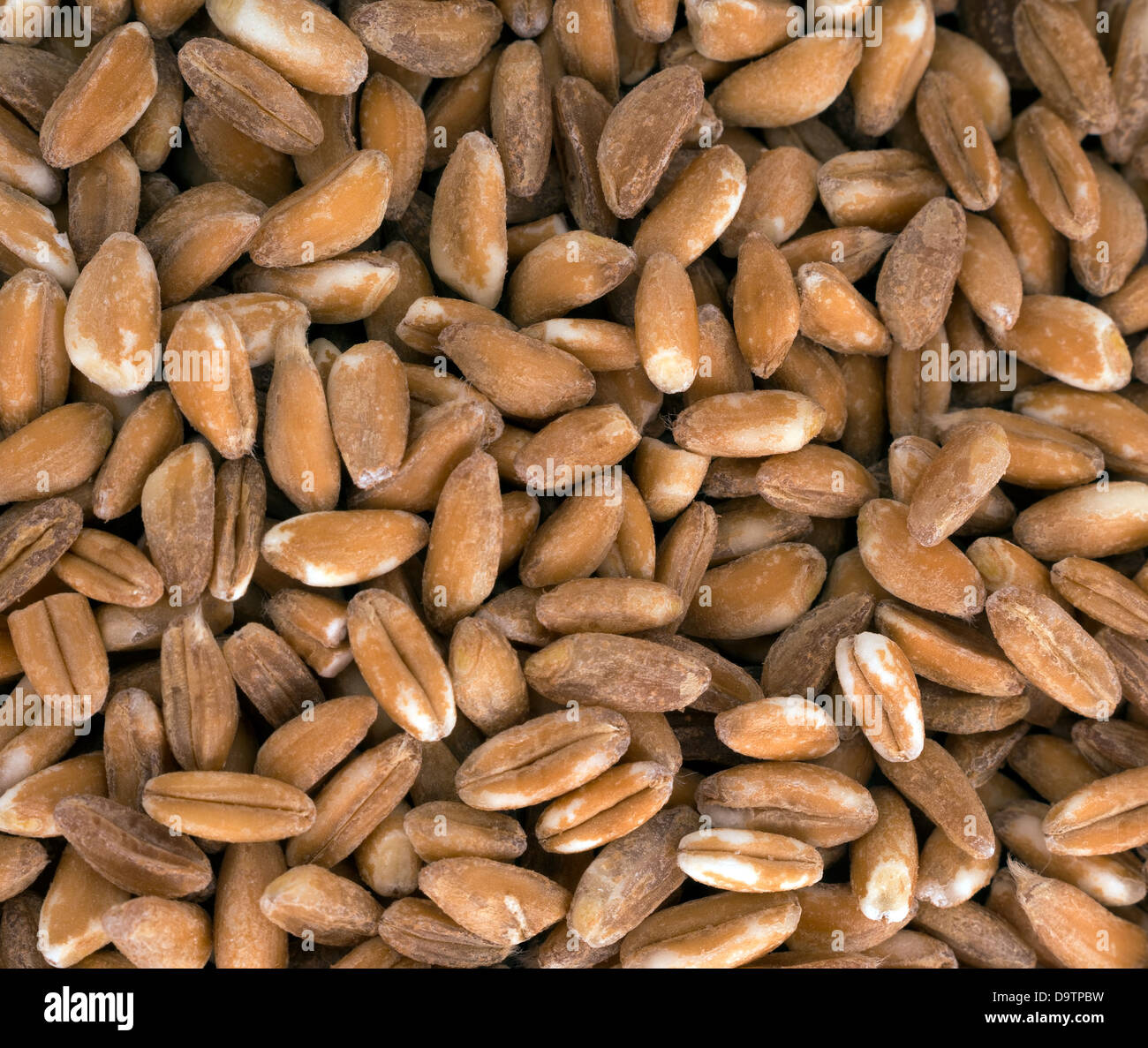 Hulled wheat hi-res stock photography and images - Alamy