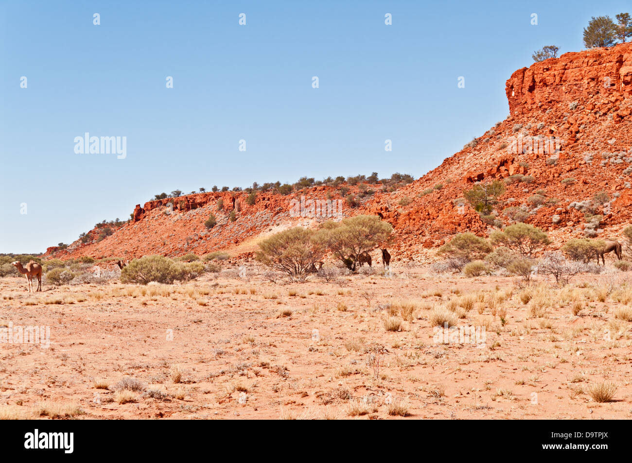 SLATE HILLS, CANNING STOCK ROUTE, WESTERN AUSTRALIA, AUSTRALIA Stock ...