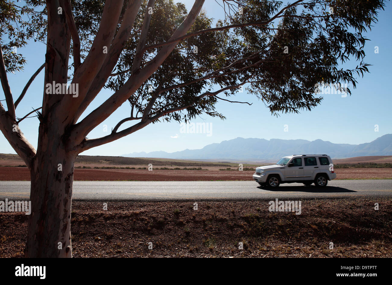 Car and Tree Stock Photo - Alamy