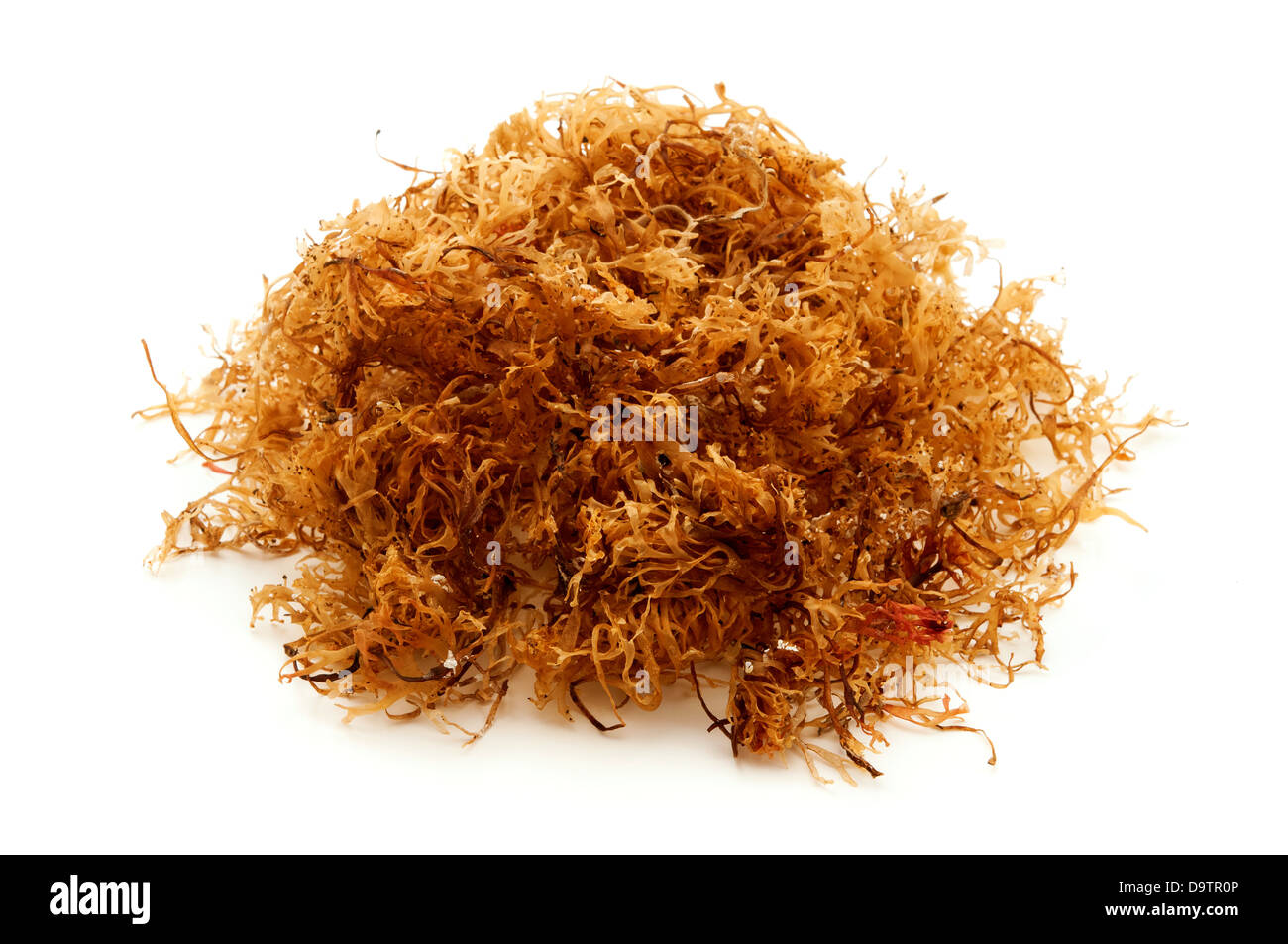 Carrageen irish hi-res stock photography and images - Alamy