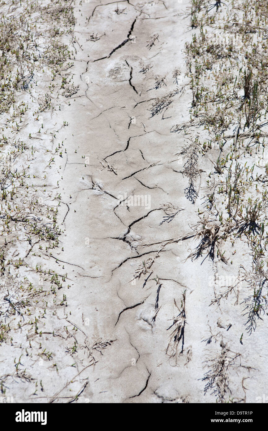 Dry lake pattern salt desert hi-res stock photography and images - Alamy