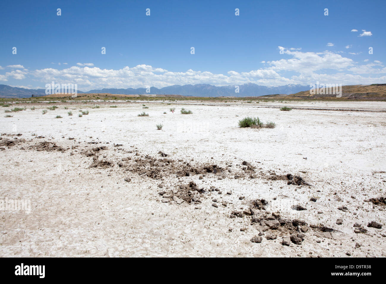 Dry lake pattern salt desert hi-res stock photography and images - Alamy