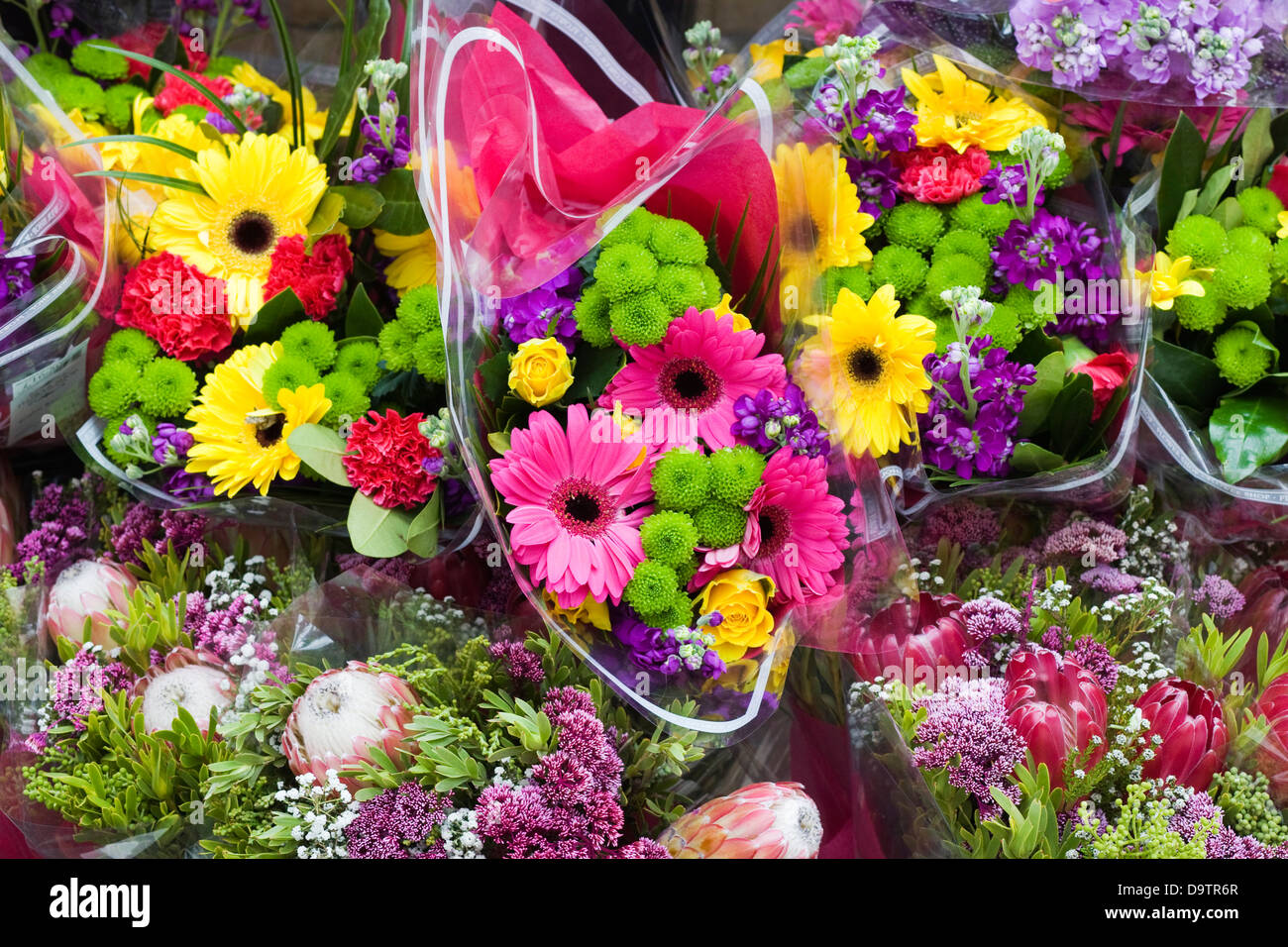 Bright colorful flowers hi-res stock photography and images - Alamy