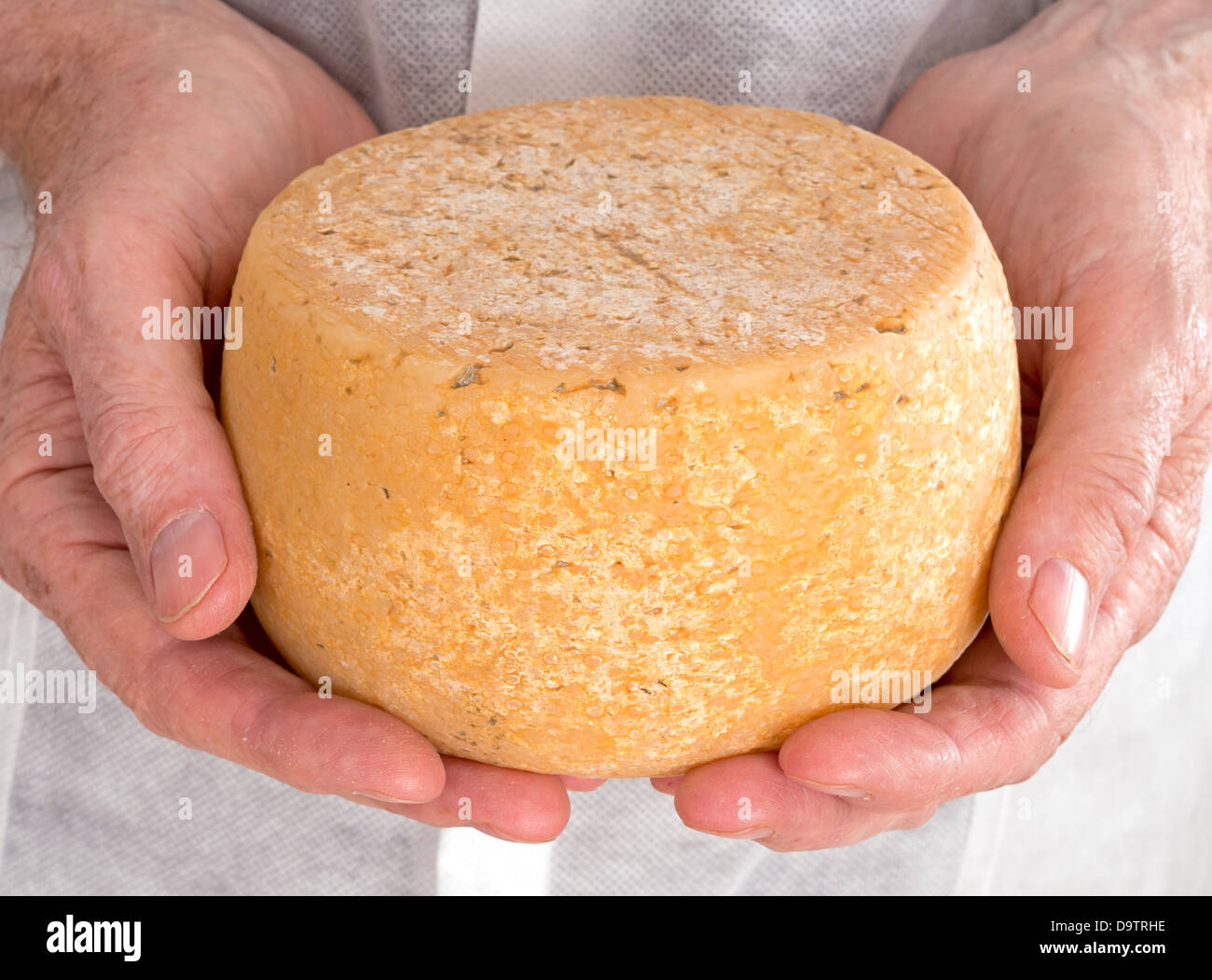 Farmhouse goats' cheese Stock Photo - Alamy