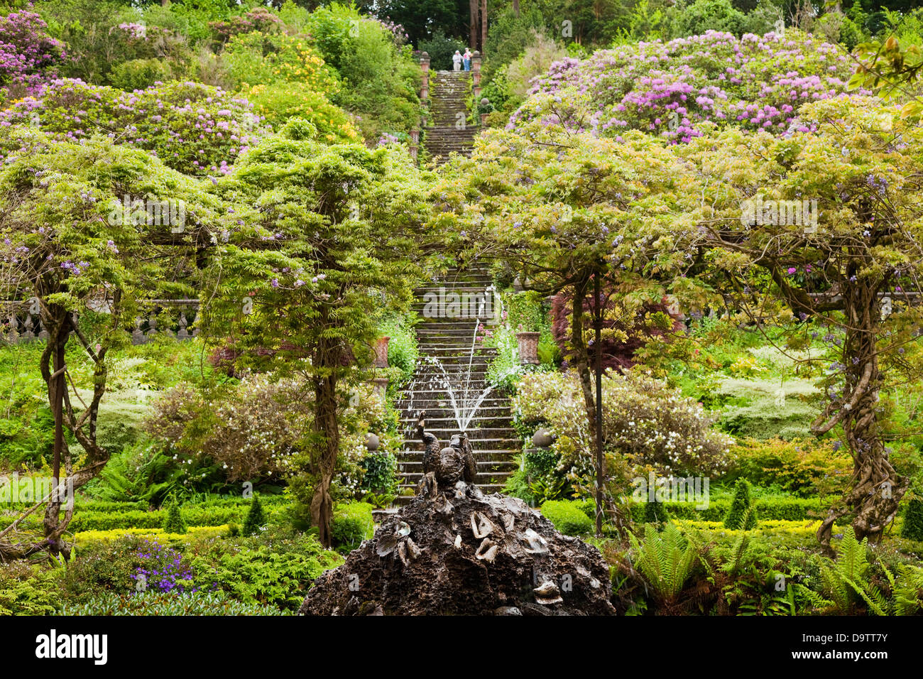 Bantry house gardens;Bantry county cork ireland Stock Photo - Alamy
