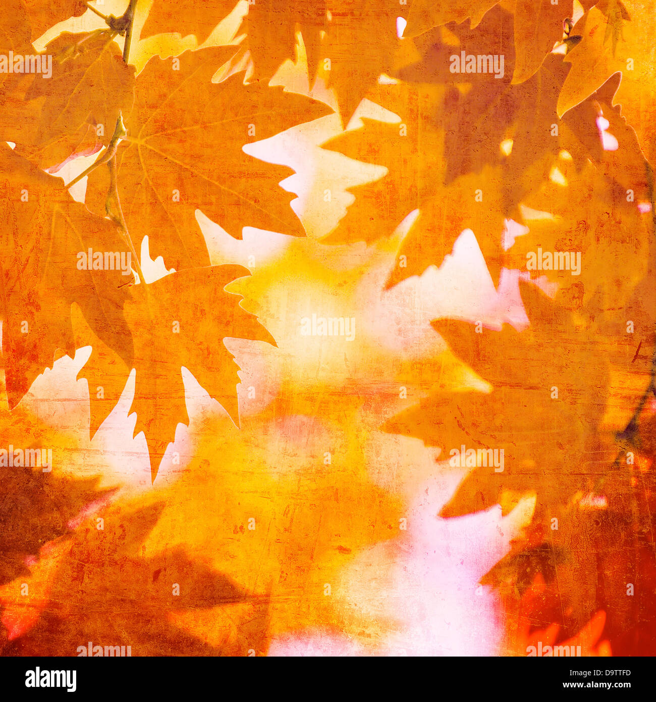 grunge background with autumn leaves Stock Photo - Alamy