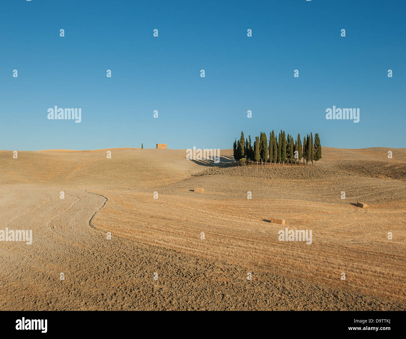 image of typical tuscan landscape Stock Photo - Alamy