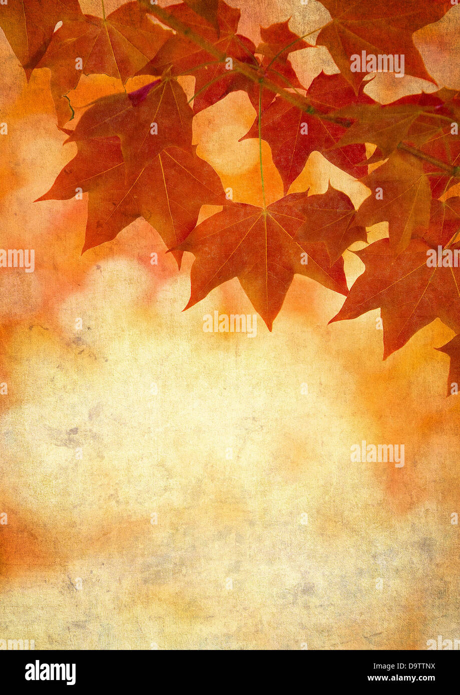 grunge background with autumn leaves Stock Photo - Alamy