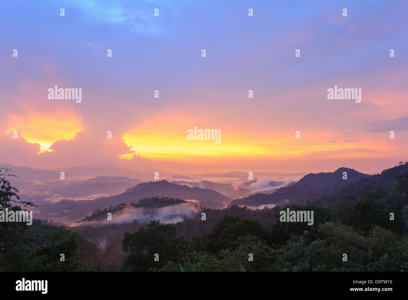 Beautiful sunset beam on forest landscape after rain storm in thailand ...