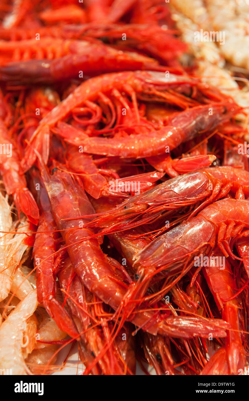 Carabineros hi-res stock photography and images - Alamy