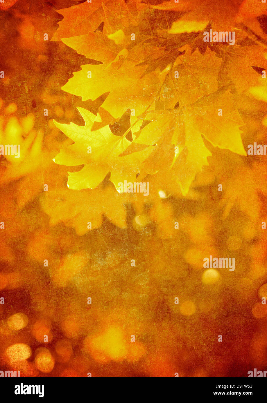 grunge background with autumn leaves Stock Photo - Alamy