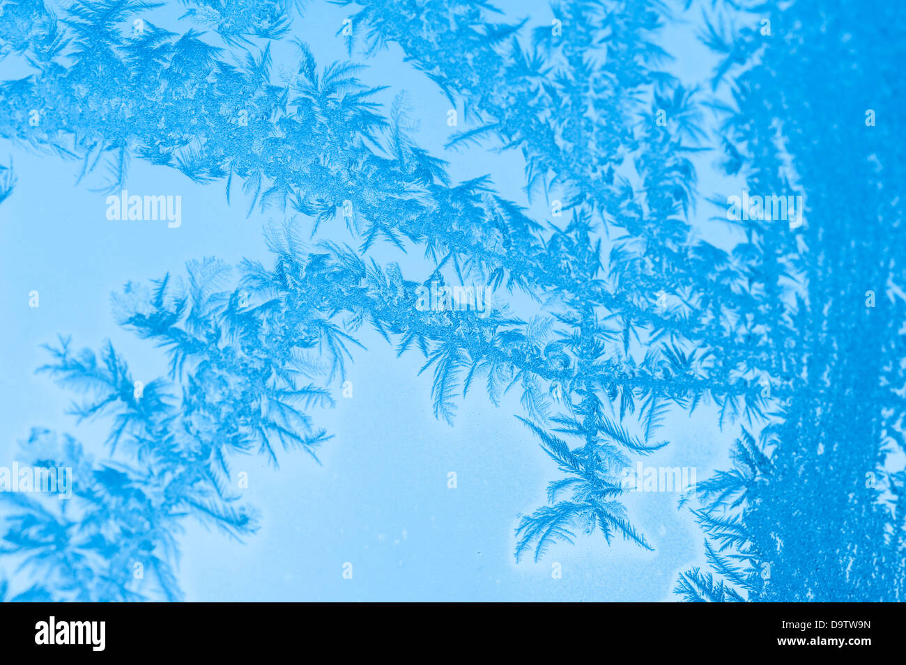 Abstract Textures & Patterns of Winter Frost on Glass Window Stock ...